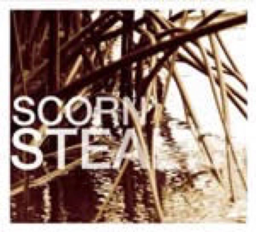 Scorn - Stealth - Recensioni - SENTIREASCOLTARE