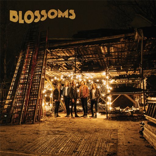 The Hunna - 100 / Dreamers - This Album Does Not Exist / Blossoms ...