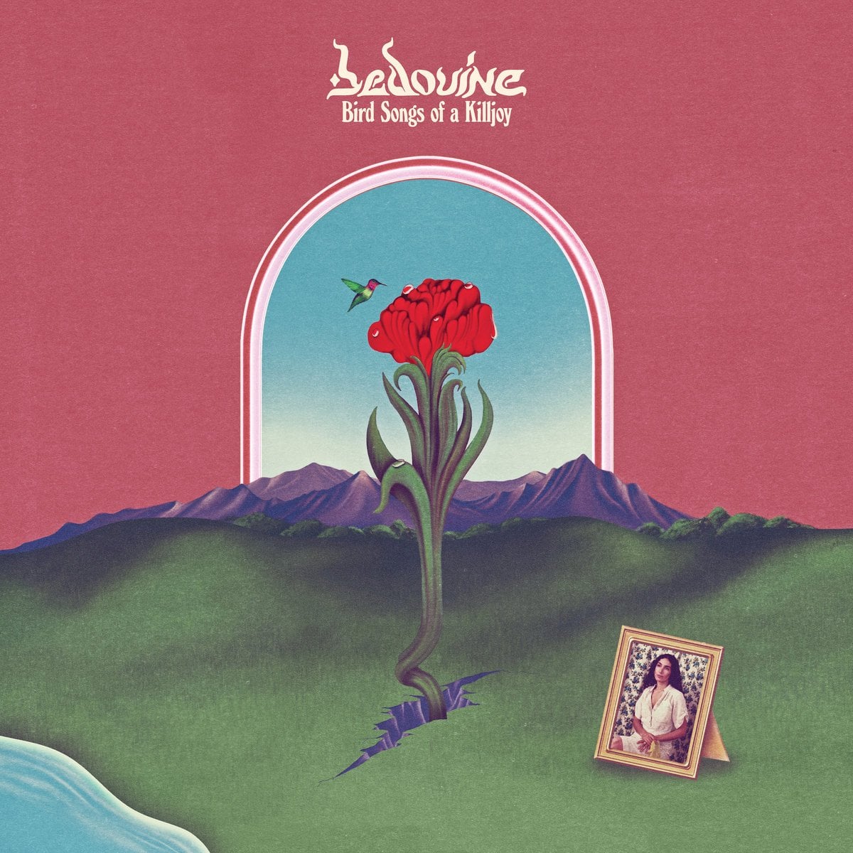 Bird Songs of a Killjoy - Album, acquista - SENTIREASCOLTARE
