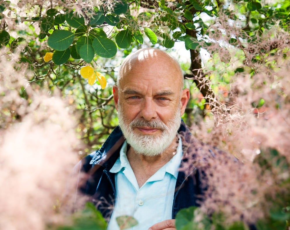Brian Eno ha ricevuto il Leone d'Oro alla carriera alla Biennale di ...