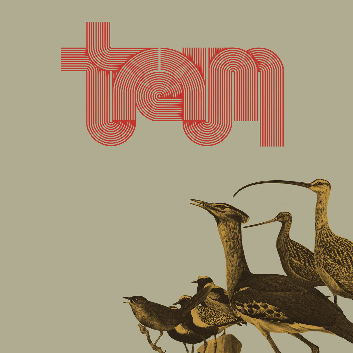 Traum - Traum - Album, acquista - SENTIREASCOLTARE