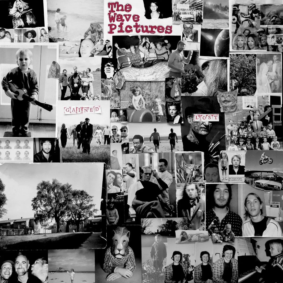 The Wave Pictures - Gained / Lost - Album, acquista - SENTIREASCOLTARE